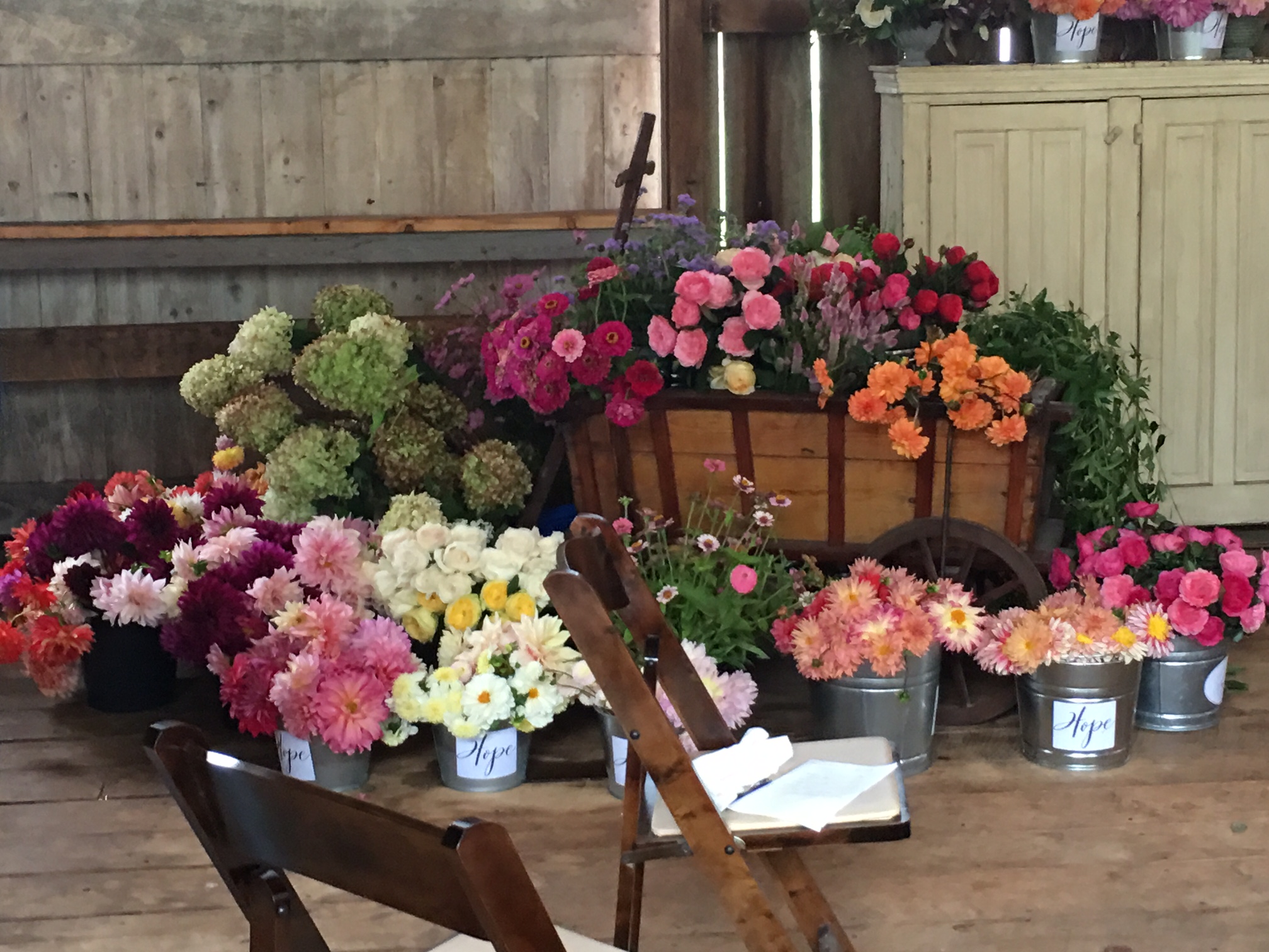 Flowerstock at Hope Flower Farm | blossomthymehillflowerfarm.com