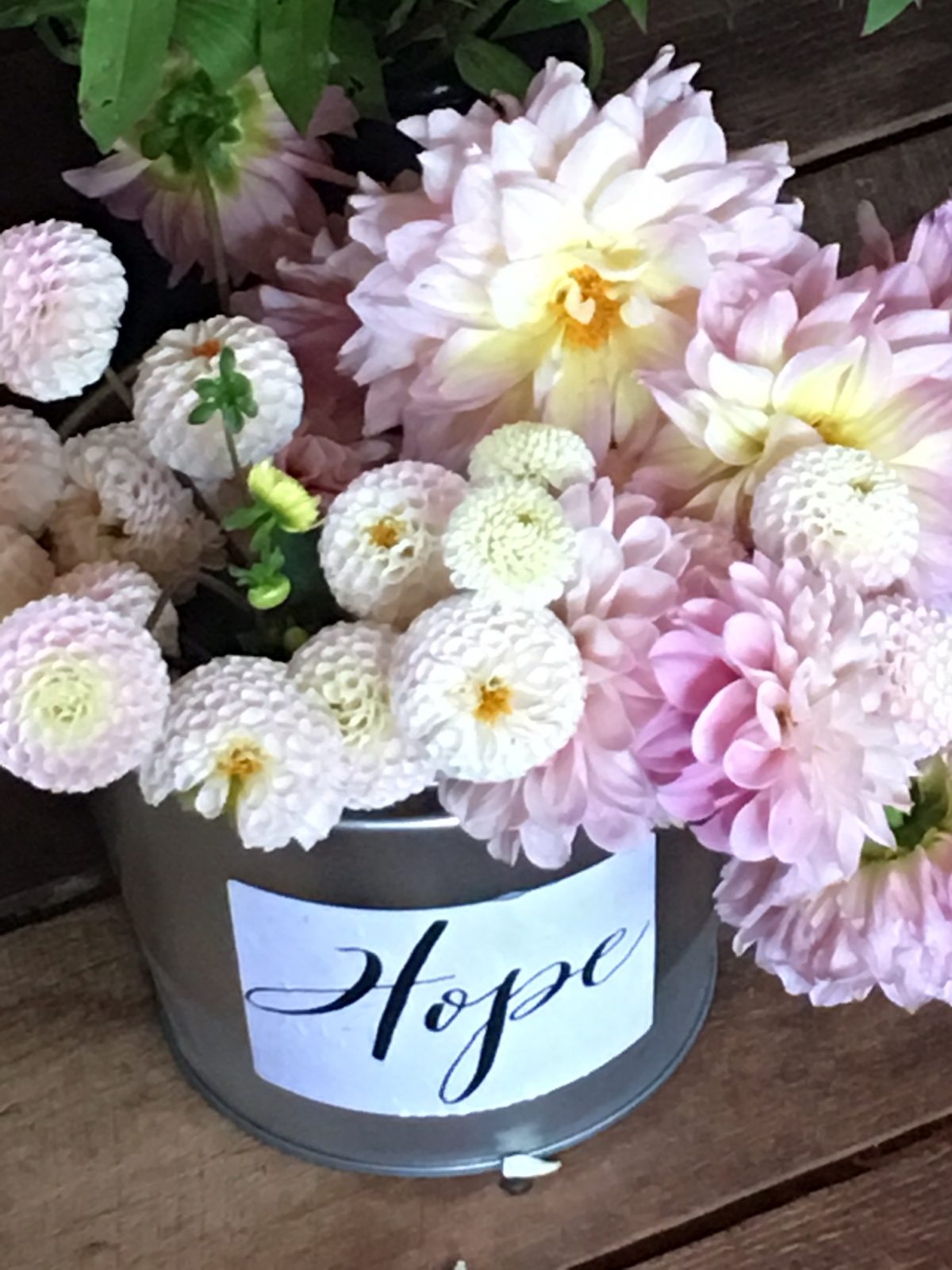 Flowerstock at Hope Flower Farm | blossomthymehillflowerfarm.com