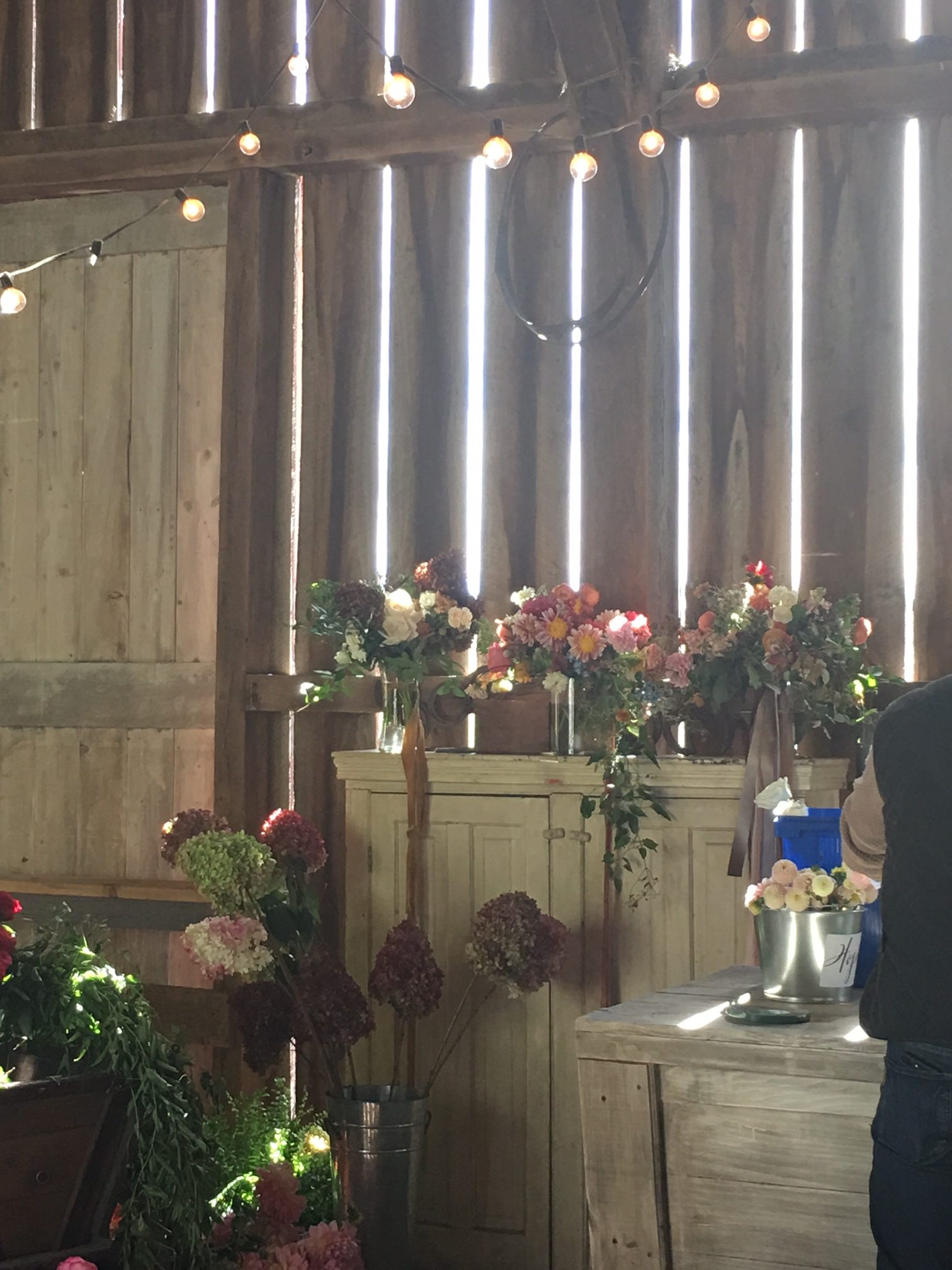 Flowerstock at Hope Flower Farm | blossomthymehillflowerfarm.com